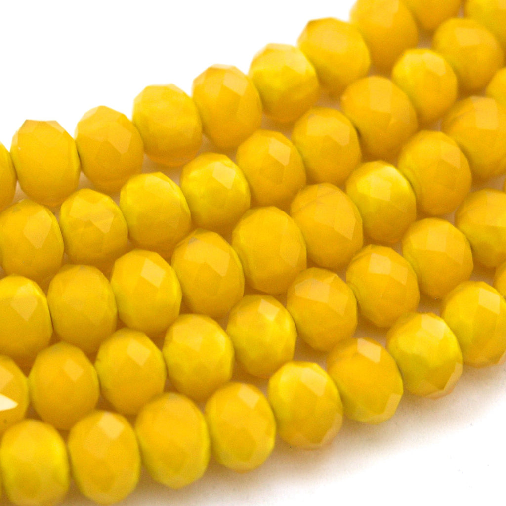 Bright Start – Elva Fields