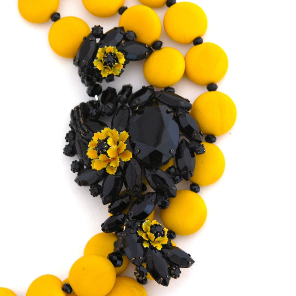 Buzz and Banter – Elva Fields